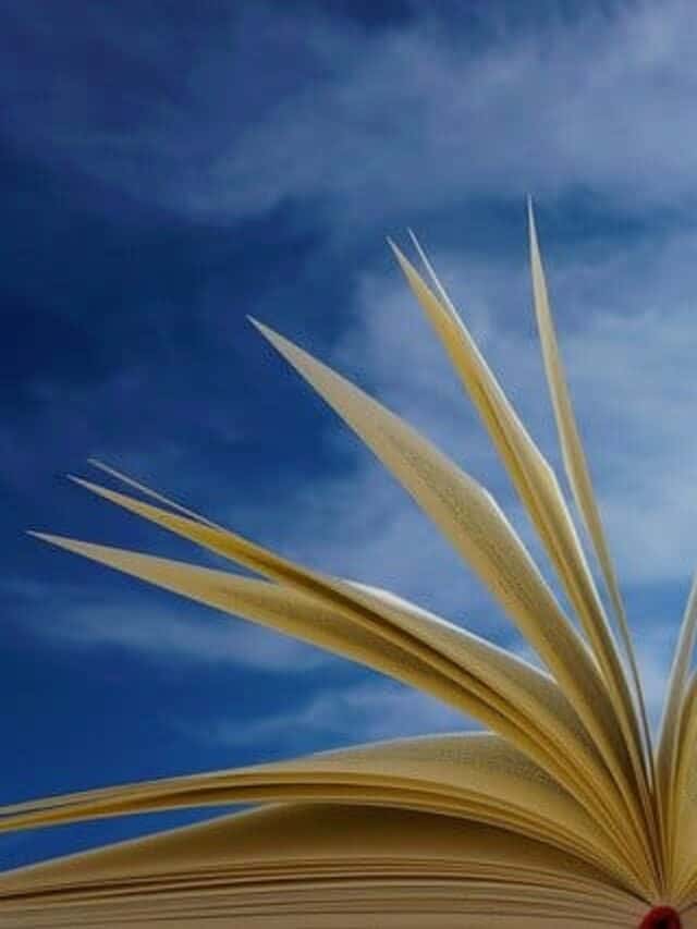 21 Reasons Why Reading Is Important And Powerful Story The Cents Of Money